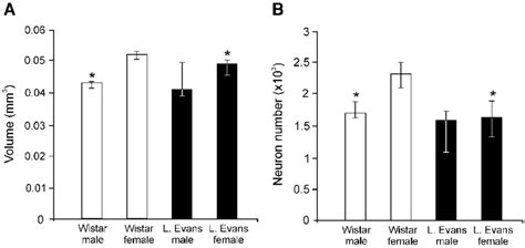 Graphs Show A The Volume And B The Number Of Neurons In The Locus Download Scientific