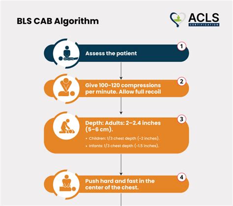 Pediatric Bls Algorithm Aclsnow