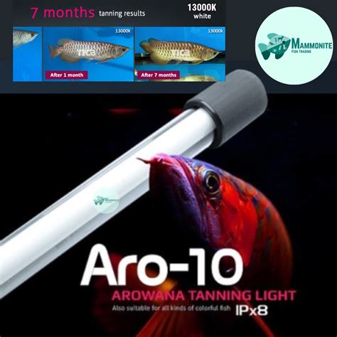 Aquarium Tank Arowana Aro 10 Tanning Light T8 Uva Uvb Spectrum 112cm Shopee Philippines