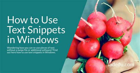 How To Use Text Snippets In Windows La De Du