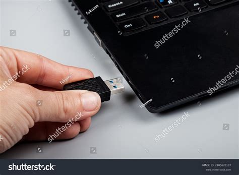 Insert Optional Removable Router Enhance Signal Stock Photo Shutterstock