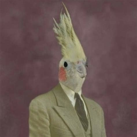 A Bad Password Youtube