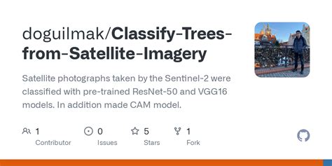Classify Trees From Satellite Imagery 4 0 Model With Cam Ipynb At Main