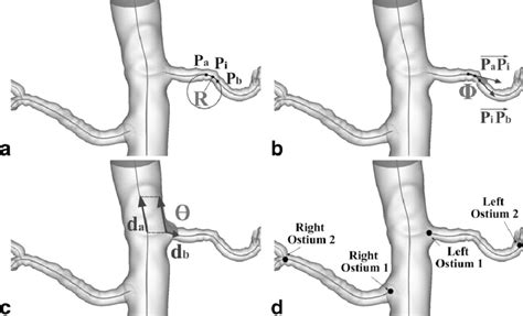 Illustrations Of The Calculation Of Curvature Branching Angle And Download Scientific Diagram