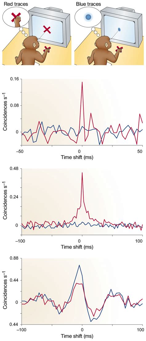 Cross Correlation Histograms With And Without Attention From Pairs Of