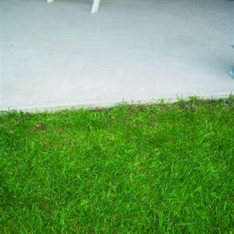 Singerman Laboratories Rust Remover For Concrete Ortmann Concrete