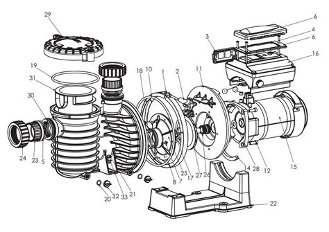 The Complete Guide To Understanding Lmi Pump Parts Diagram And Function