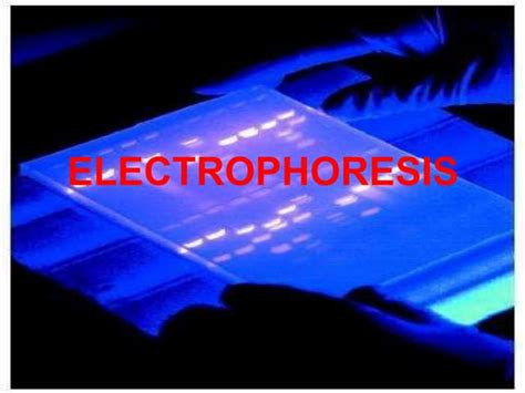 Electrophoresis Principle And Types Pptx