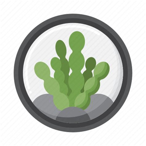Algae Microbes Microbiology Biology Science Biotechnology
