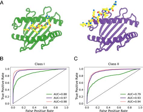 Peptide Binding Specificity Prediction Using Fine Tuned Protein Structure Prediction Networks PMC