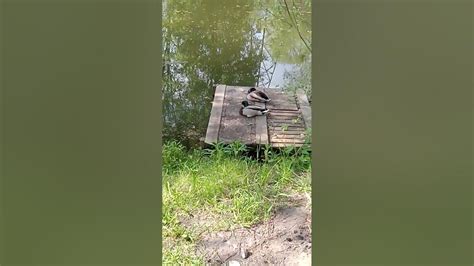 Мужики не танцюють Youtube