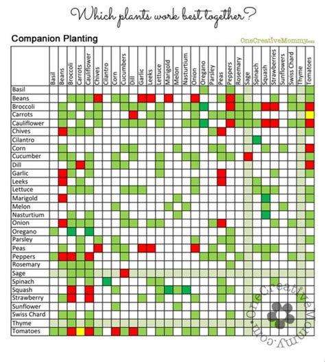 Companion Planting Chart Green Go Red No