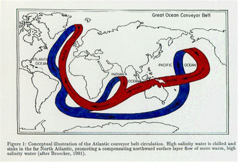 Transcription Of The Lecture
