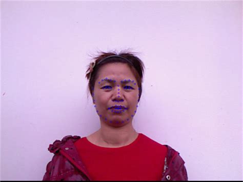 3dmm Fitting Result Does Not Look Like The Input Image · Issue 73