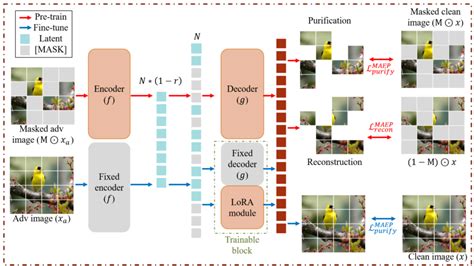 [论文审查] Adversarial Masked Autoencoder Purifier With Defense Transferability