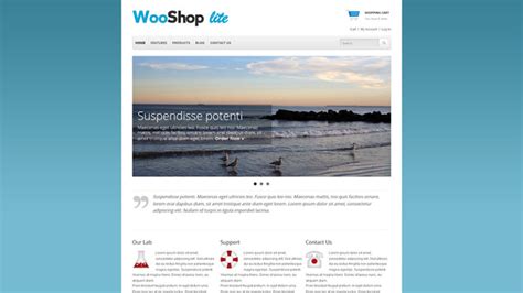 Free Ecommerce WordPress Theme Using WooCommerce For