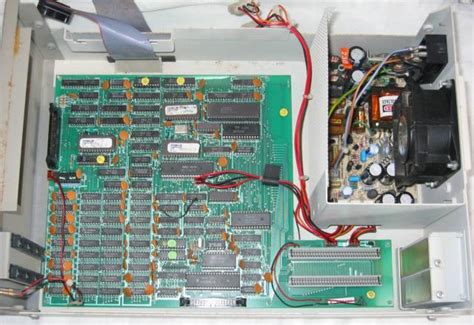 Chriss Acorns The Torch Graduate