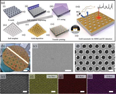 Schematics And Structural Characterization A Schematic Illustration Download Scientific