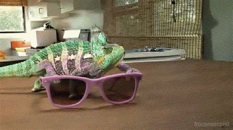 Changing Color GIFs Find Share On GIPHY Changing Color GIFs Find Share On GIPHY