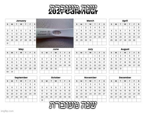שנה מעוברתבמ Ranibm