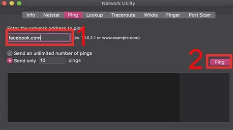 What Is Ping Meaning And Simple Way To Check Ping Not Everyone Knows