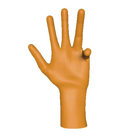 Sign Language Dictionary F Handshapes
