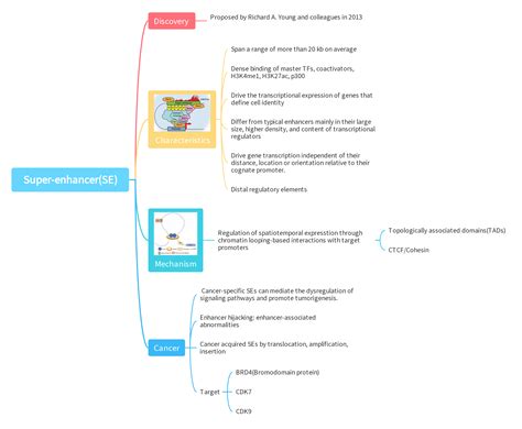 Super Enhancer Introduction Tbear Notes