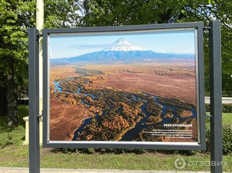 Отзыв о Выставка "Камчатка - рассказ в лисах" (Россия, Москва ...