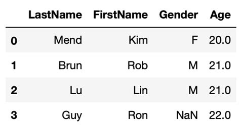 Python For Business Data Preparation Techniques