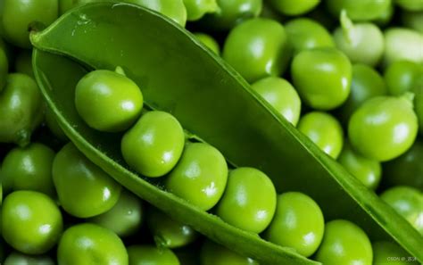 面向注解编程—spring 注解看这一篇就够了 Csdn博客