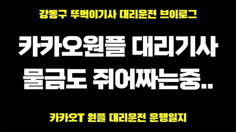 0823 대리운전 뚜벅이 카카오대리 티맵대리기사 대리운전꿀팁 알바로그 카카오퍼플 탁송 인스타360에이스프로 대리기사 브이로그