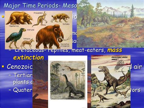 Ppt Lecture Macroevolution And Mass Extinction Powerpoint