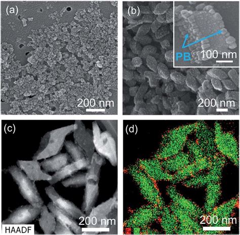 A SEM Image Of PB NPs B SEM And C TEM Images Of PBmodified PMC Download Scientific