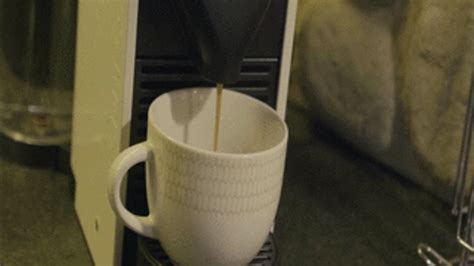 Laima R And Teddy Bear Step Brother Carlos Having Sex After Morning Coffee Plushies Tv