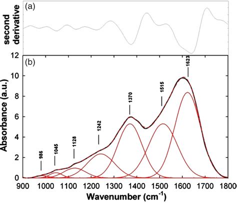 Second Derivative And B Spectral Deconvolution Analysis Of Ftir Download Scientific Diagram