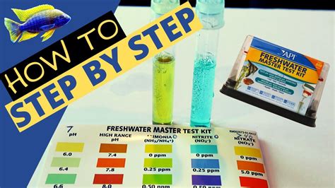 Api Freshwater Aquarium Master Test Kit Step By Step Guide
