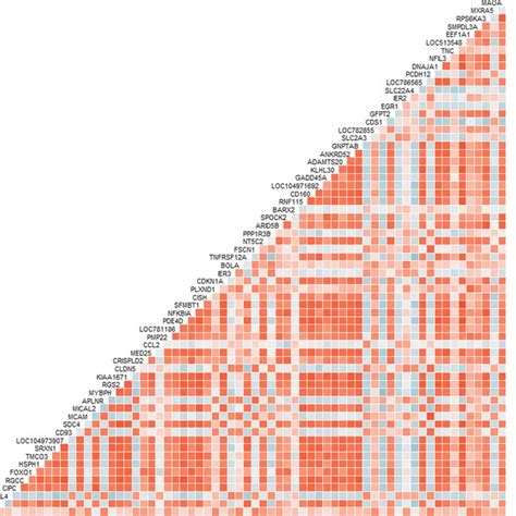 Correlation Matrix Plot The Differing Colors Represent Differing Download Scientific Diagram