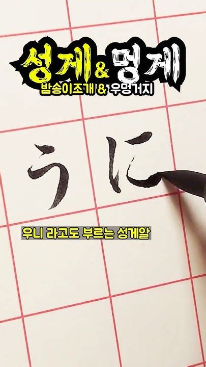 알고 먹자 성게 And 멍게 맛있는글씨 글맛 국어공부 Youtube