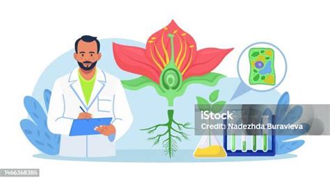생물학 식물학 과목 자연을 탐험하는 생물학자 과학자는 식물의 생명 시스템에 대한 실험실 분석을합니다 분자 공학 미생물학 실험실 장비로 작업하는 화학 연구원 교수에 대한 스톡