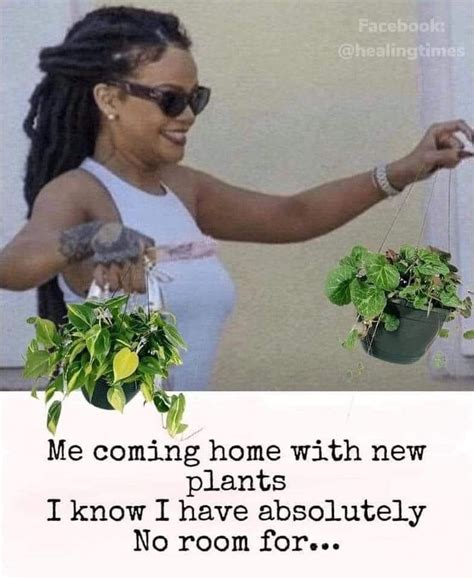 Pin By Portuguese Princess On Funny Punny Plant Jokes Plants