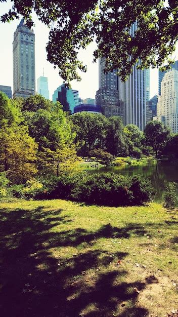 Edificios En La Ciudad Foto Premium