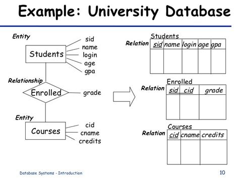 dbms an example