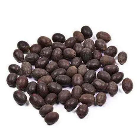 Lotus Seeds 15 Nos Vibis Little World