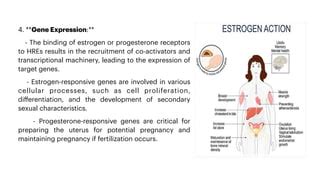 Sex Harmones Basic Pharmacology Pdf Hormonal Disorders Endocrine And Metabolic Diseases