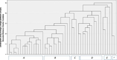Cluster Analysis Spss Software The Clustering Method Was Average