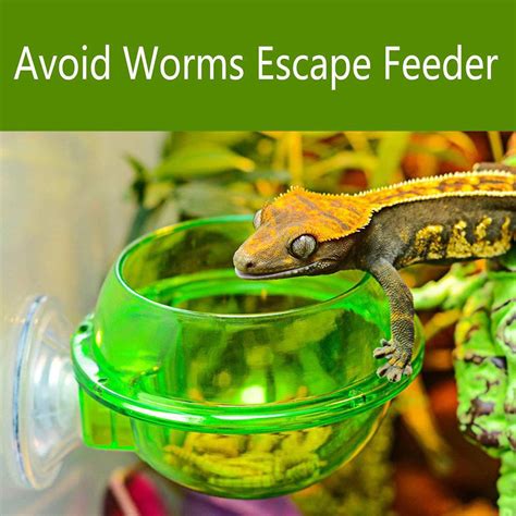 Anti Escape Food Bowl Worm Live Fodder Container F Grandado