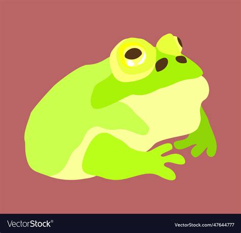 Toad Royalty Free Vector Image Vectorstock