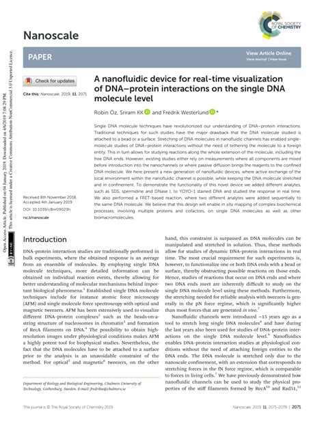 Pdf A Nanofluidic Device For Real Time Visualization Of Dna Protein