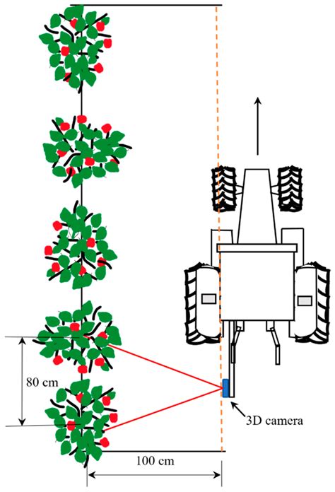 recognition and counting of apples in a dynamic state using a 3d camera and deep learning