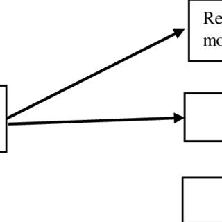 A Proposed Model Of Causal Relationship Among The Study Variables Download Scientific Diagram